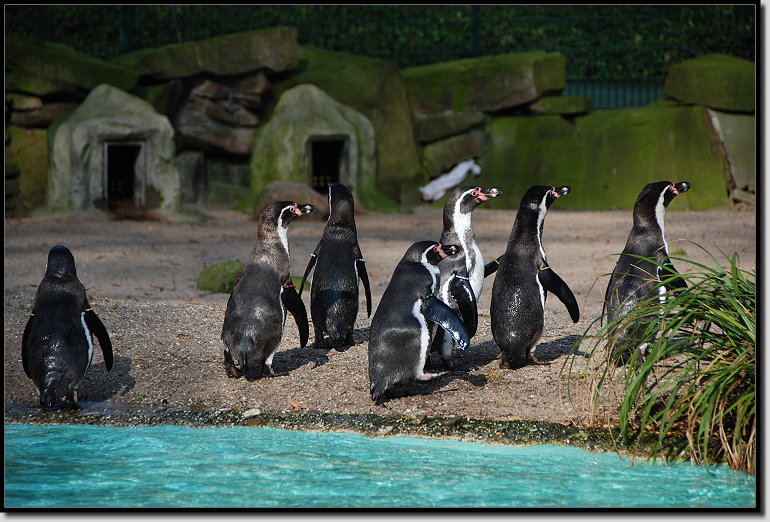 Zoo Dortmund