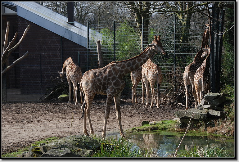 Zoo Dortmund