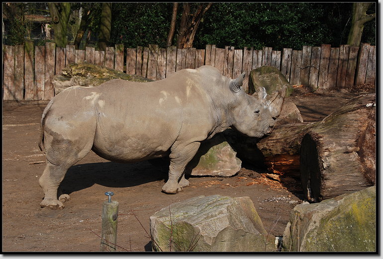 Zoo Dortmund